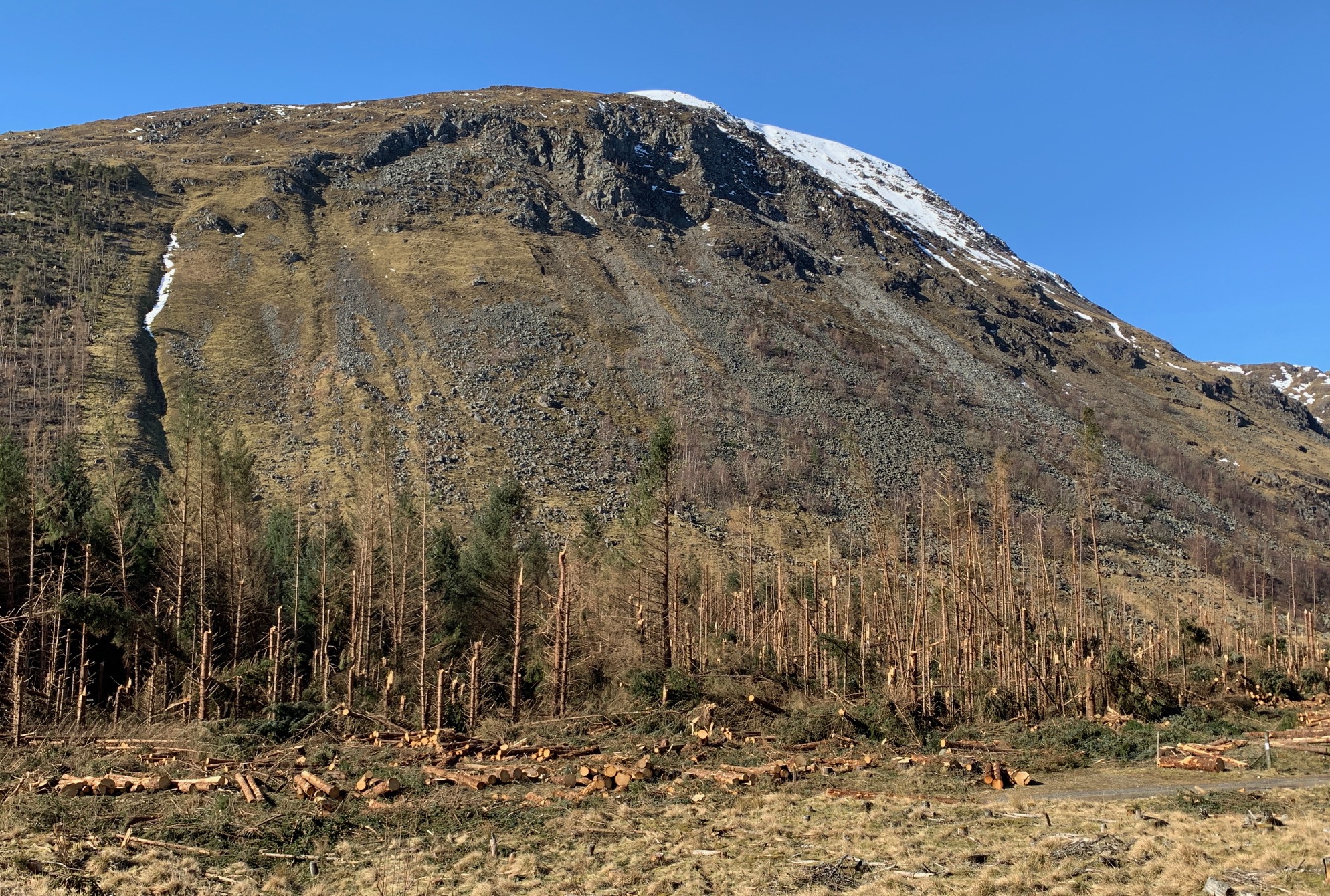 PICKING A WAY THROUGH THE DEVASTATED FORESTRY OF GLEN DOLL | Munro ...